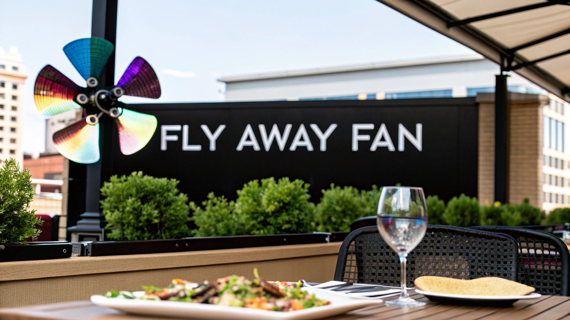 The Fly Away Fan: Your Guide to Pest-Free Dining – MODERN LYFE