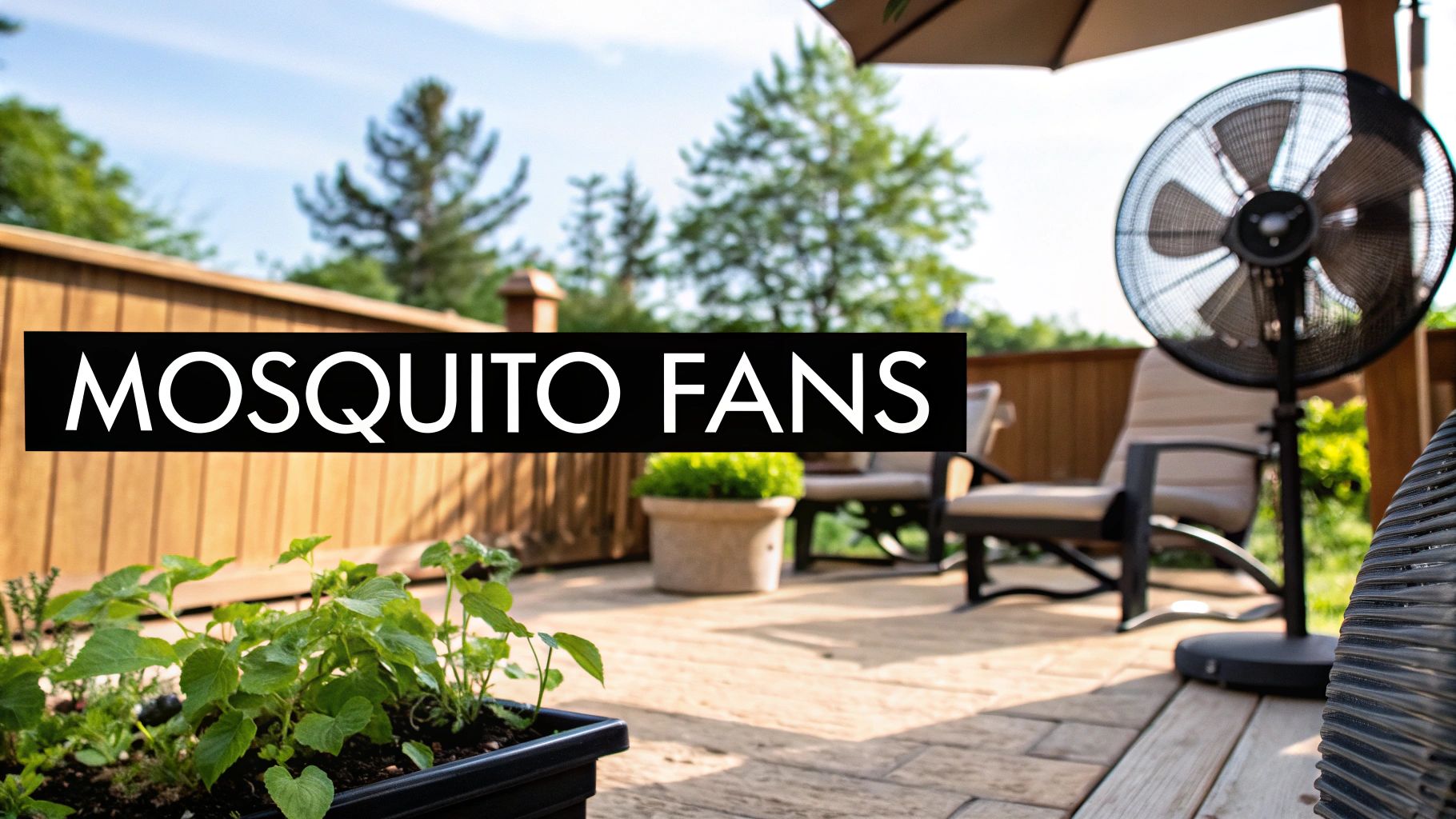 Your Guide to Outdoor Mosquito Fans – MODERN LYFE
